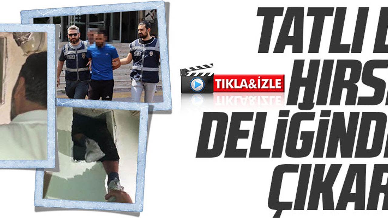 TATLI DİL HIRSIZI DELİĞİNDEN ÇIKARDI - Taka Gazete - Trabzon Haber ...