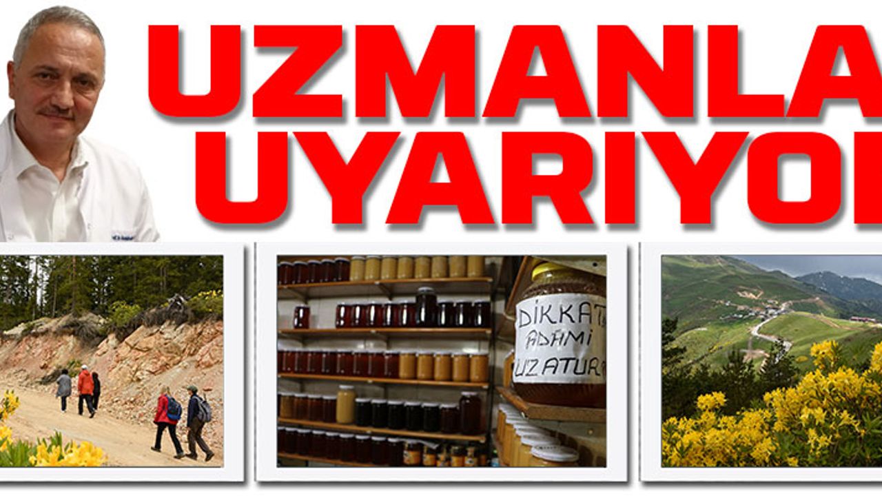 UZMANLARDAN DELİ BAL UYARISI - Taka Gazete - Trabzon Haber - Karadeniz ...