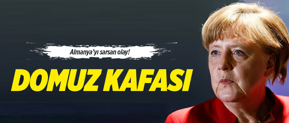 DOMUZ KAFASI! - Taka Gazete - Trabzon Haber - Karadeniz Haber