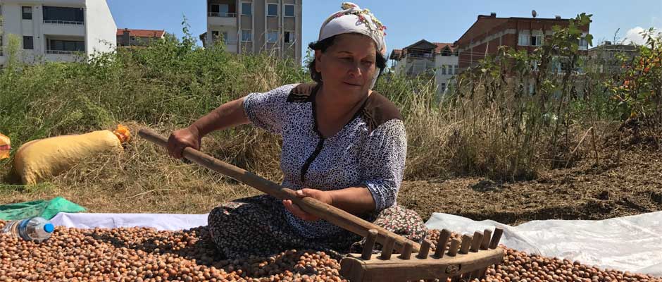 FINDIK TÜRKİYE’NİN PETROLÜDÜR - Taka Gazete - Trabzon Haber - Karadeniz ...