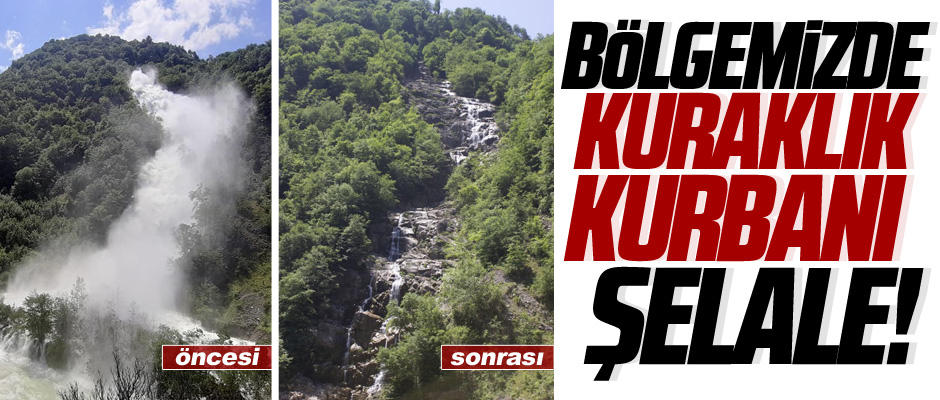 KURAKLIK ORAYI VURDU! - Taka Gazete - Trabzon Haber - Karadeniz Haber