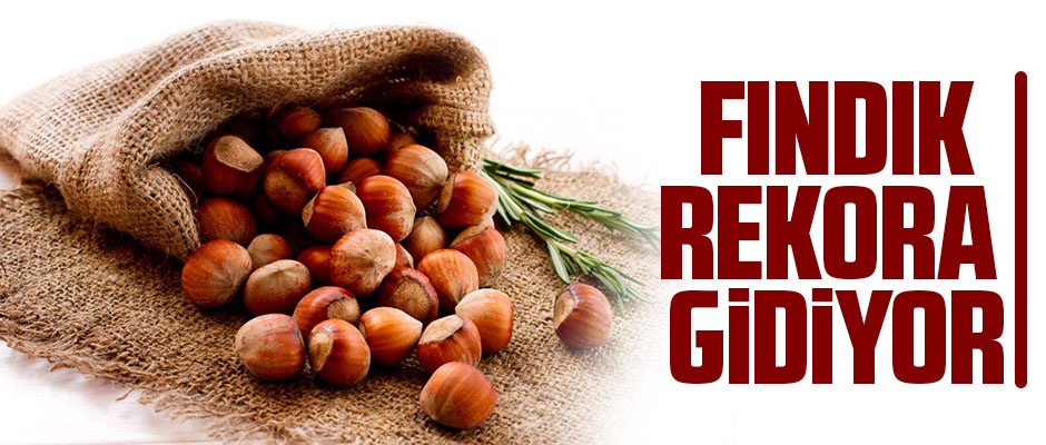 FINDIK REKORA GİDİYOR - Taka Gazete - Trabzon Haber - Karadeniz Haber