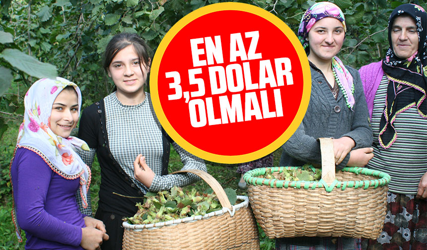 Fındık üreticileri fiyatların artmasını istiyor - Taka Gazete - Trabzon ...