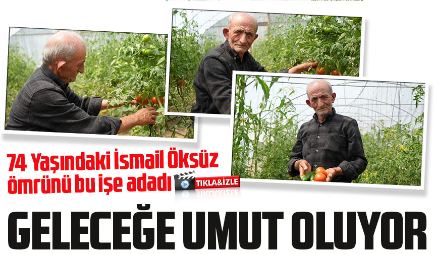 Bayburtlu Çiftçi İsmail Öksüz, Ata Tohumlarıyla Geleceğe Umut Oluyor ...