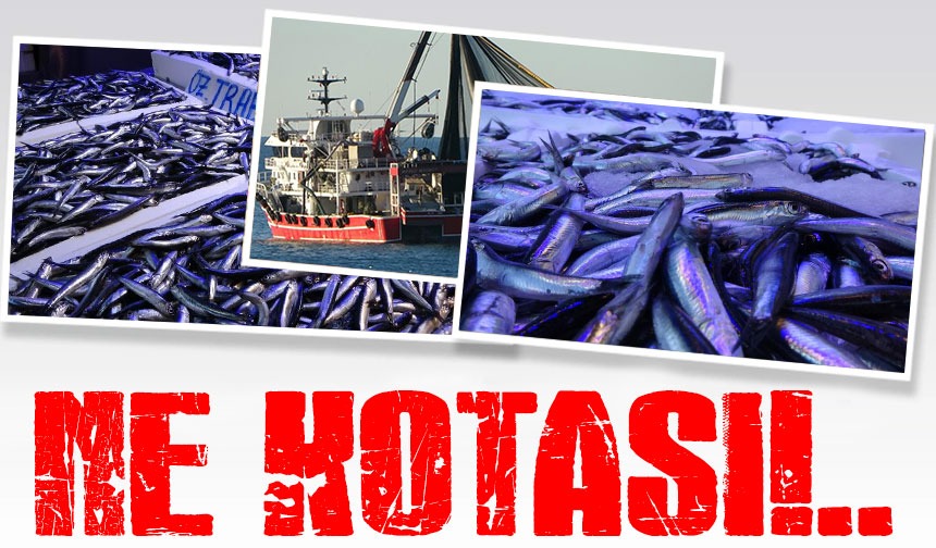 Balıkçılar Kotaya Tepkili: "Hamsi Avı Kotası Endişe Yaratıyor!" - Taka ...